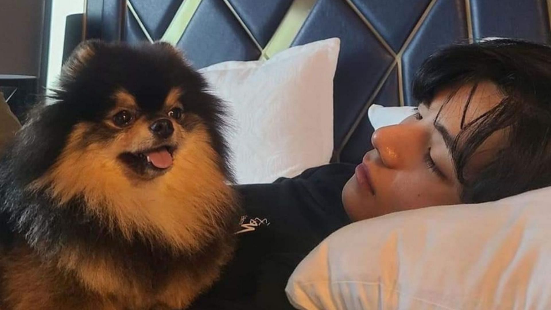 แฟนๆ กรี๊ด V วง BTS หยอดคำหวานให้ พัคโบกอม กลางไลฟ์